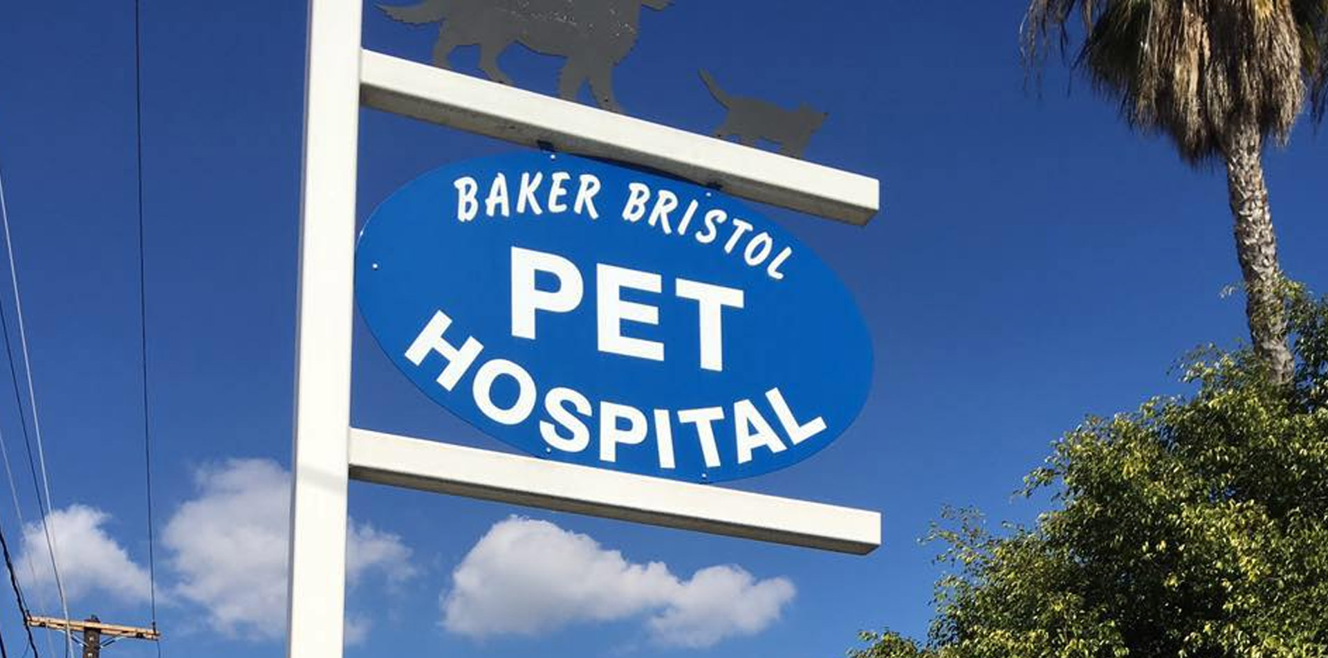 Baker Bristol Pet Hospital | Costa Mesa Veterinarian | Dog Vets