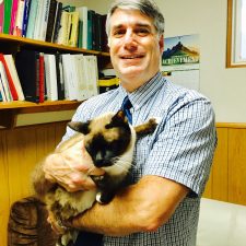 Best Veterinary Care Center & Specialists in Costa Mesa